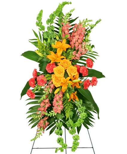 Mesa Town Florist - Florists Mesa Arizona - Flowers Mesa 85202